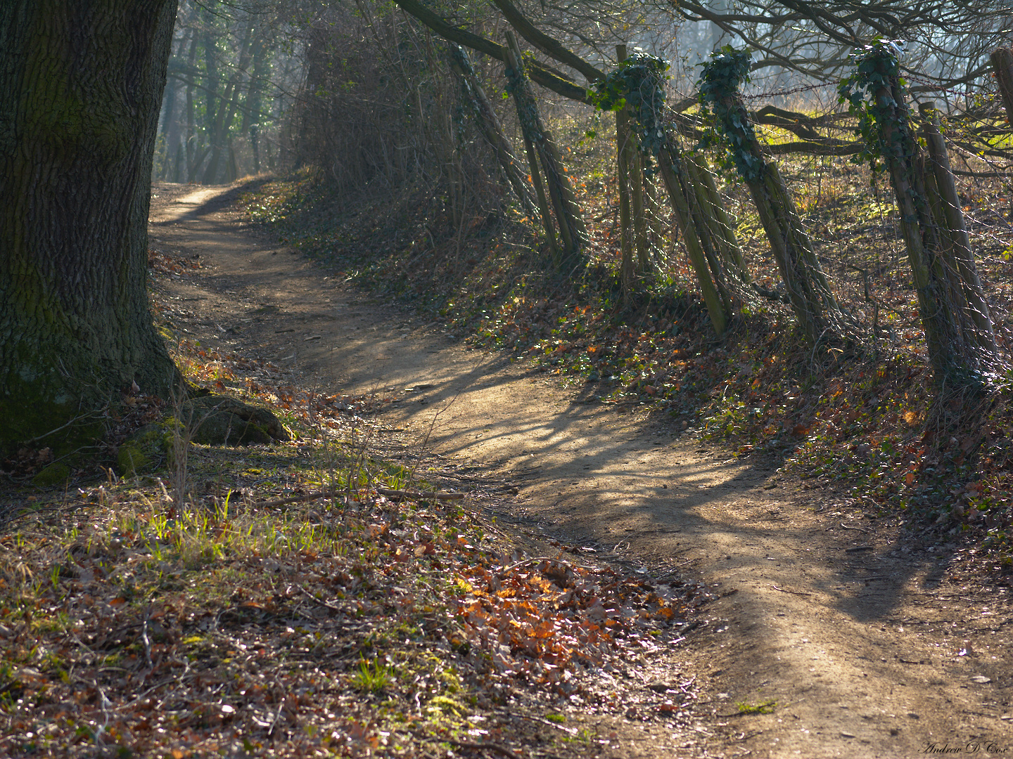 A Walk Between German Castles - Backcountry Sights