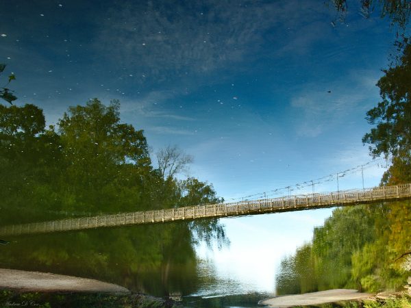 An Afternoon at Turkey Run - Backcountry Sights