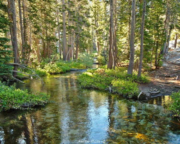 John Muir Trail - An Alternate Beginning - Backcountry Sights