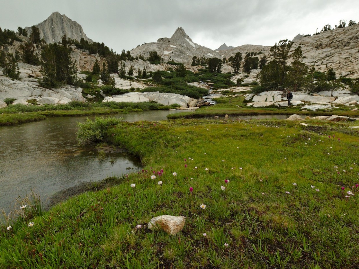 Pine Creek to Piute Pass Thru Hike - Backcountry Sights