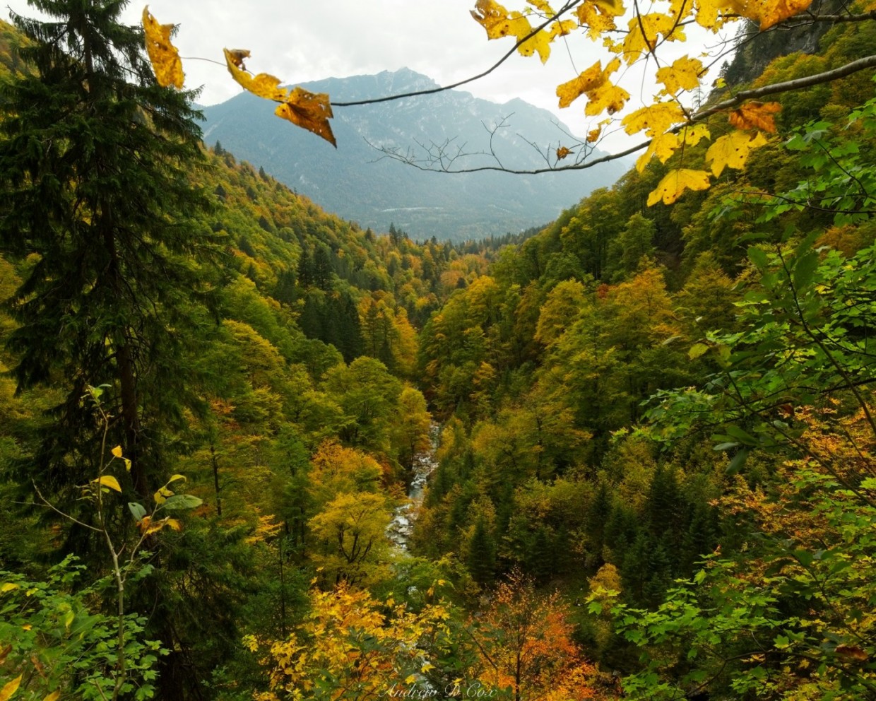 Autumn Day Hikes in the German Alps - Backcountry Sights