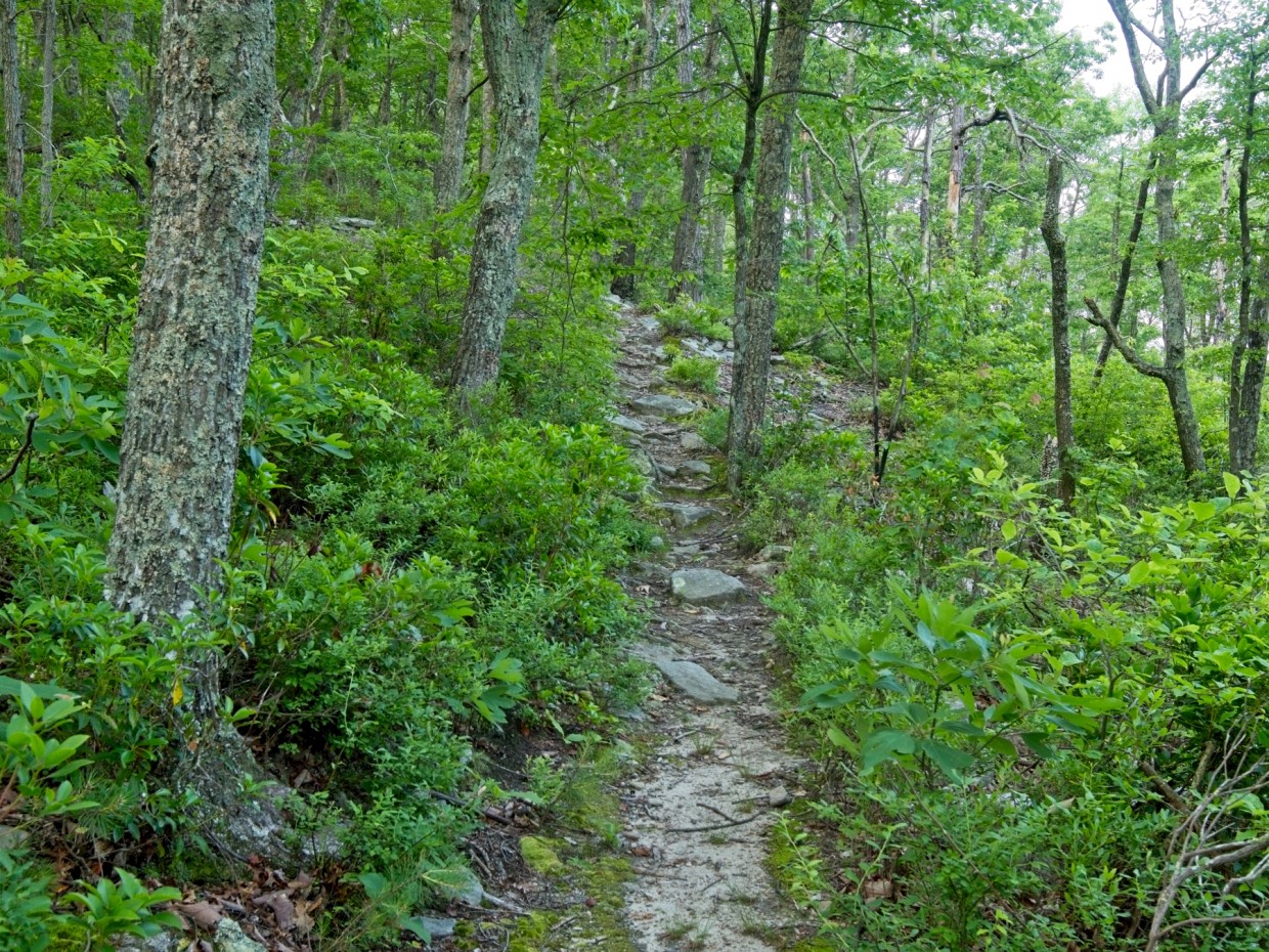A Night on the Tuscarora Trail - Backcountry Sights