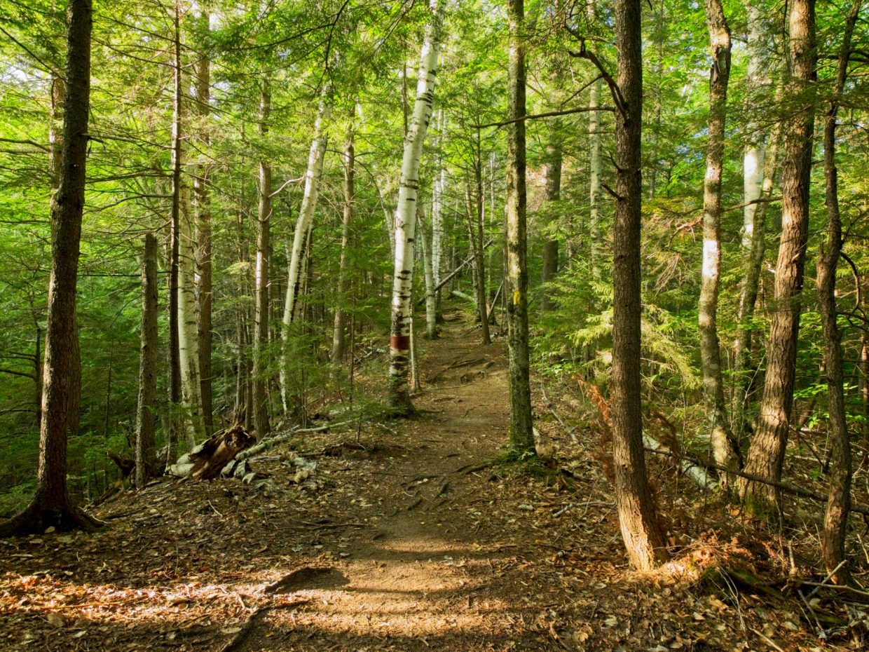 The Pemi loop - Backcountry Sights