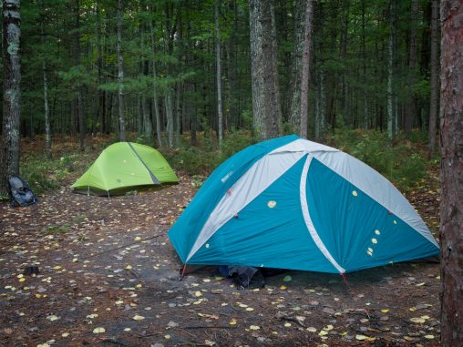 Manistee River Trail Backpacking Loop - Backcountry Sights