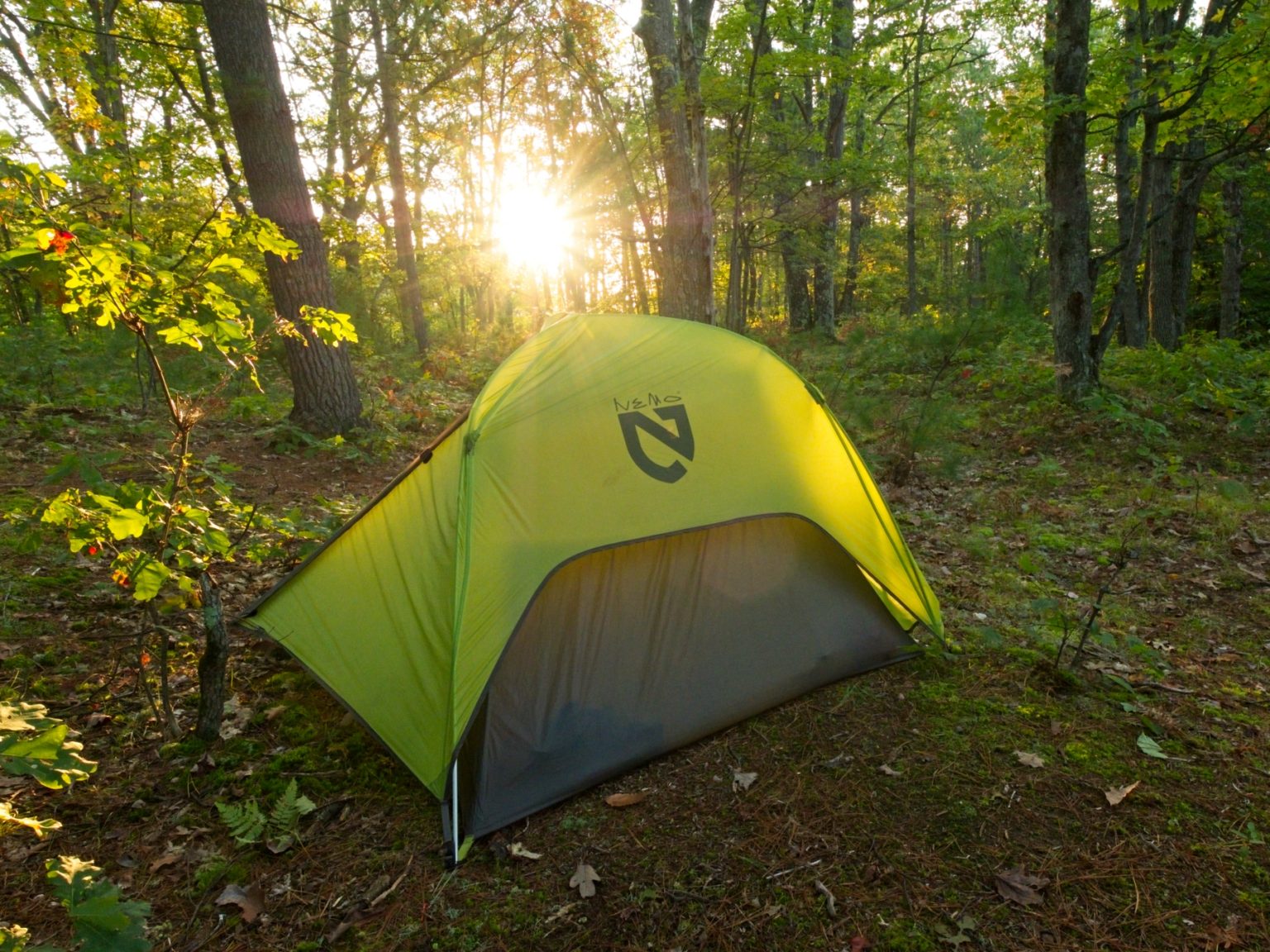 Manistee River Trail Backpacking Loop - Backcountry Sights