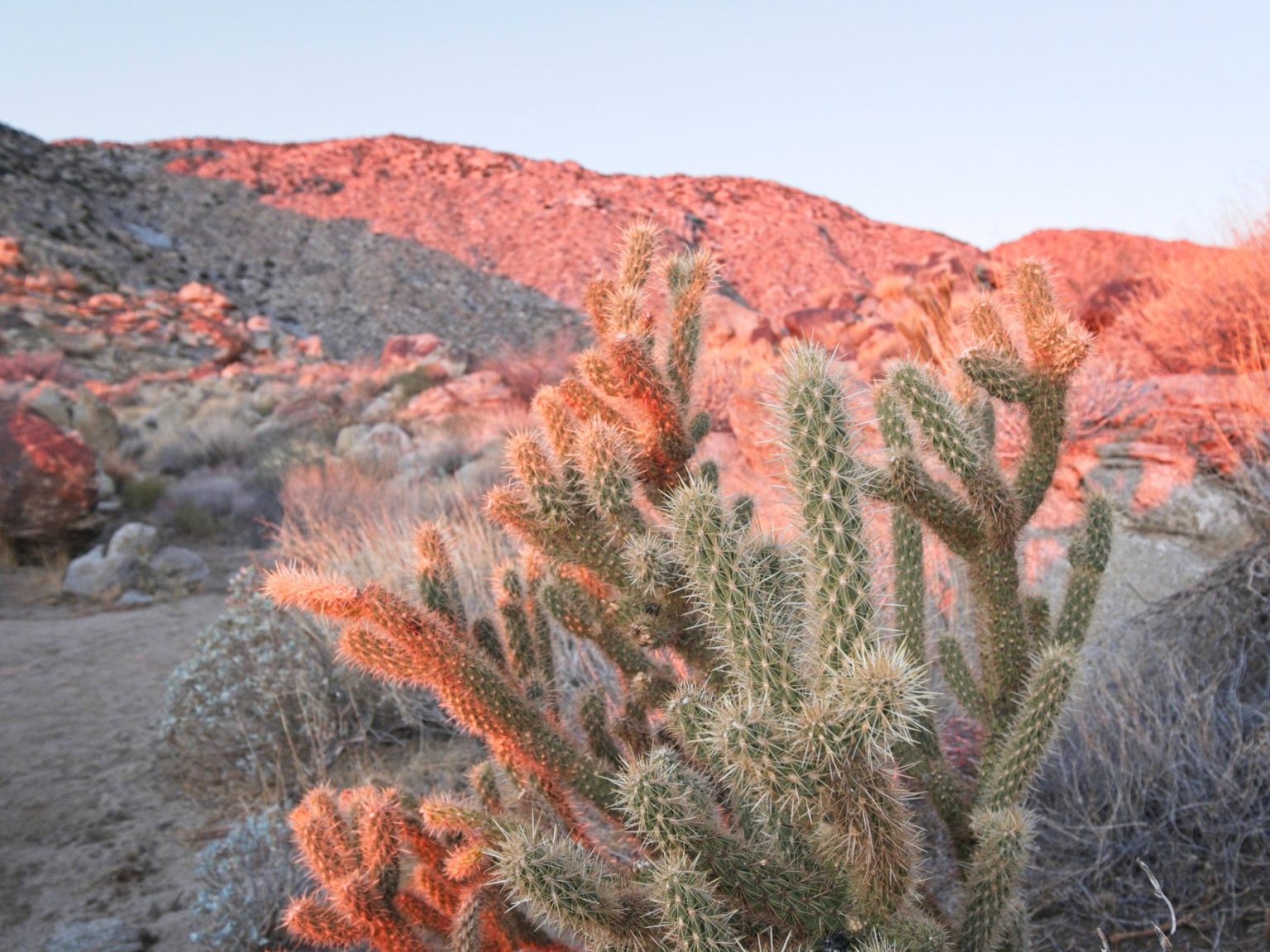 Cactus to Clouds - Backcountry Sights