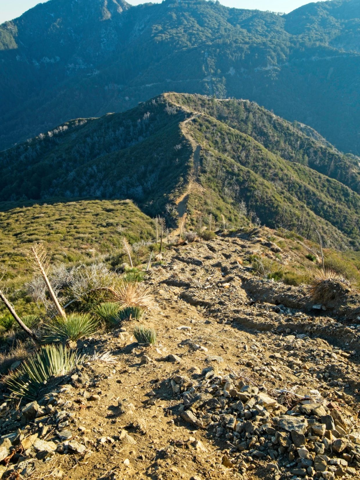 Mount Lawlor - Backcountry Sights