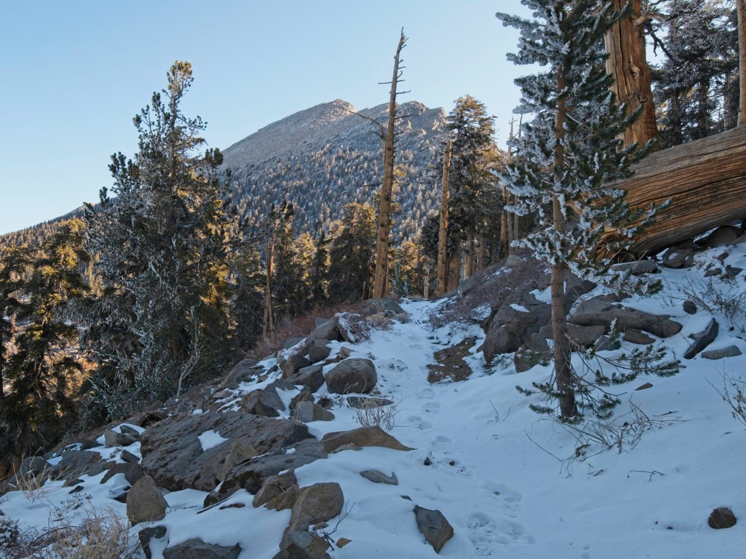 A Snowy Olancha Peak Climb - Backcountry Sights