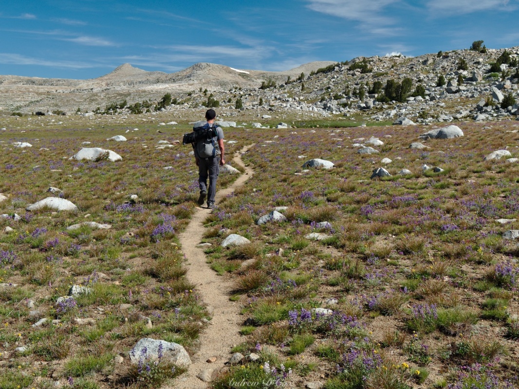 Pine Creek to Piute Pass Thru Hike - Backcountry Sights
