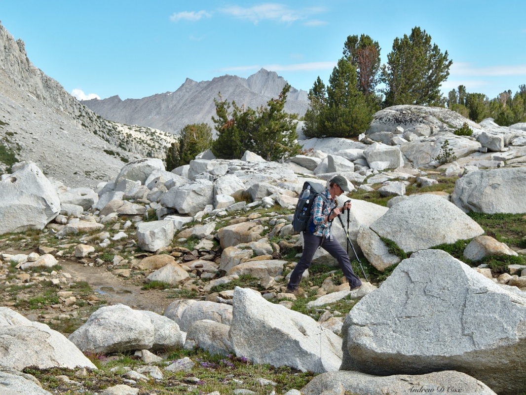Pine Creek to Piute Pass Thru Hike - Backcountry Sights
