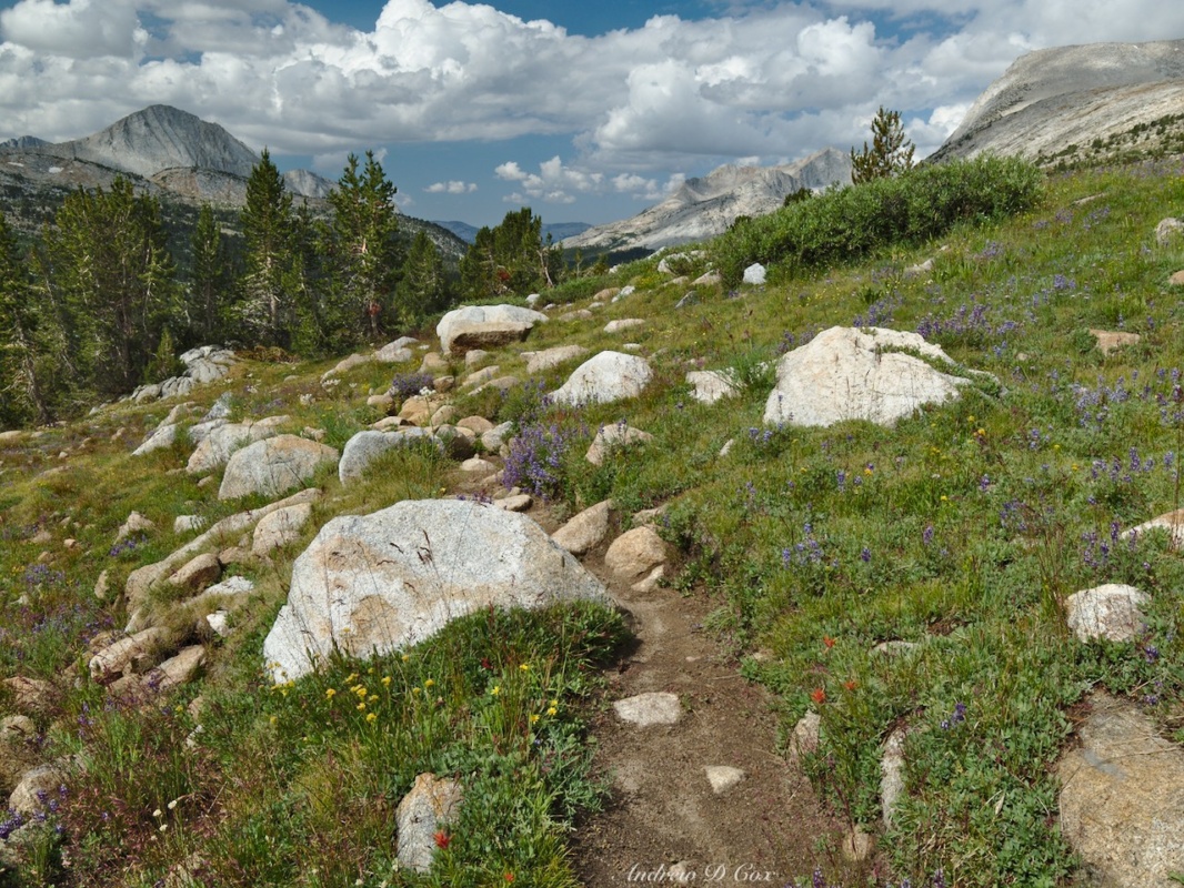 Pine Creek to Piute Pass Thru Hike - Backcountry Sights