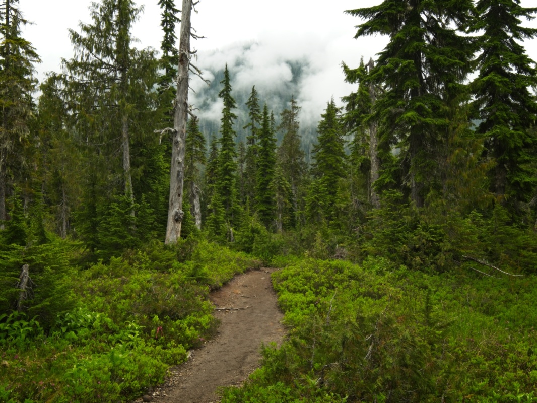 Mount Baker Easton Glacier Route - Backcountry Sights